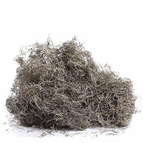 Snapklik.com : Natural Color Spanish Moss Preserved Floral Moss