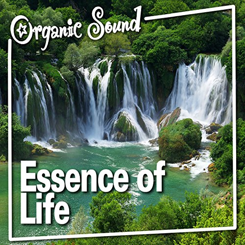 Amazon.com: Essence of Life : Organic Sound: Digital Music