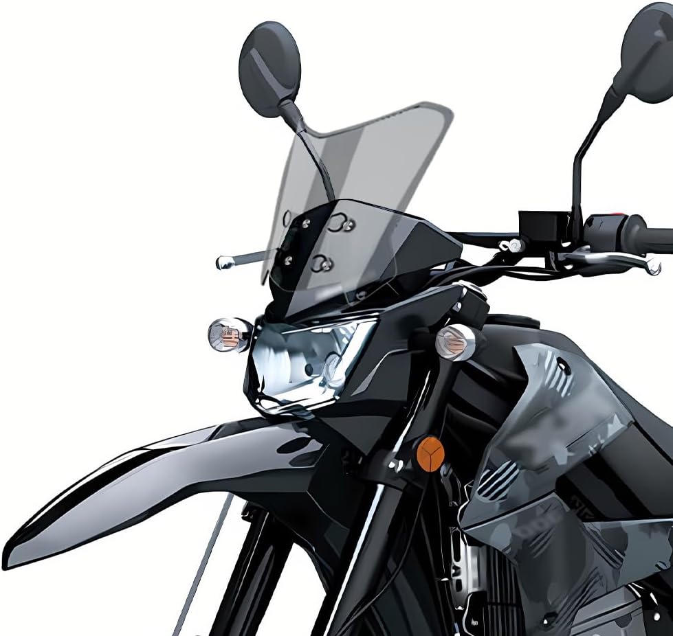 Amazon.com: RAIMTO For KLX 300 KLX 300SM 2022-2024 2025 motorcycle ...