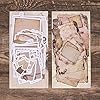 Amazon.com: Knaid Antique Looking Scrapbook Stickers (90 Pieces ...