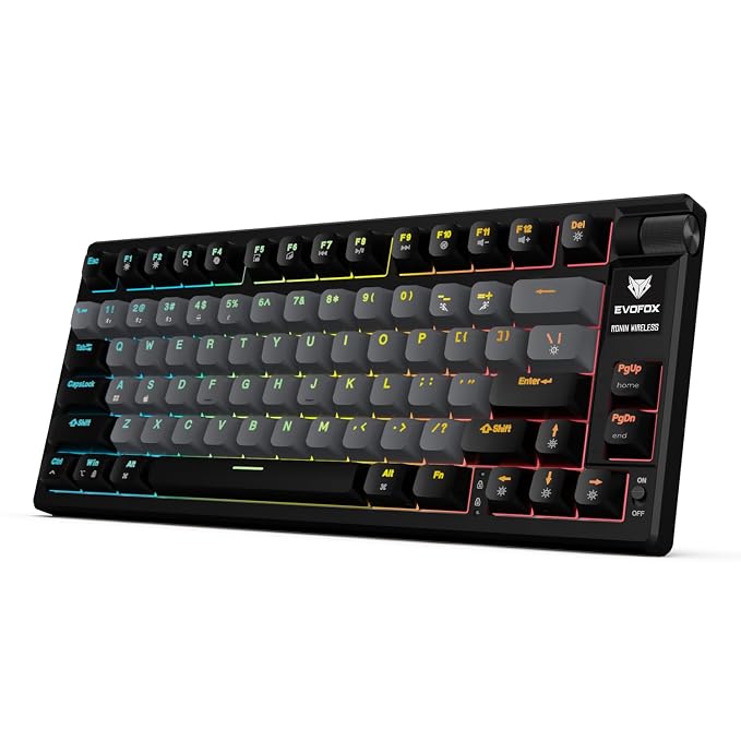 EvoFox Ronin Mechanical Keyboards Wireless (BT+2.4GHz+Wired), 9 Layer ...