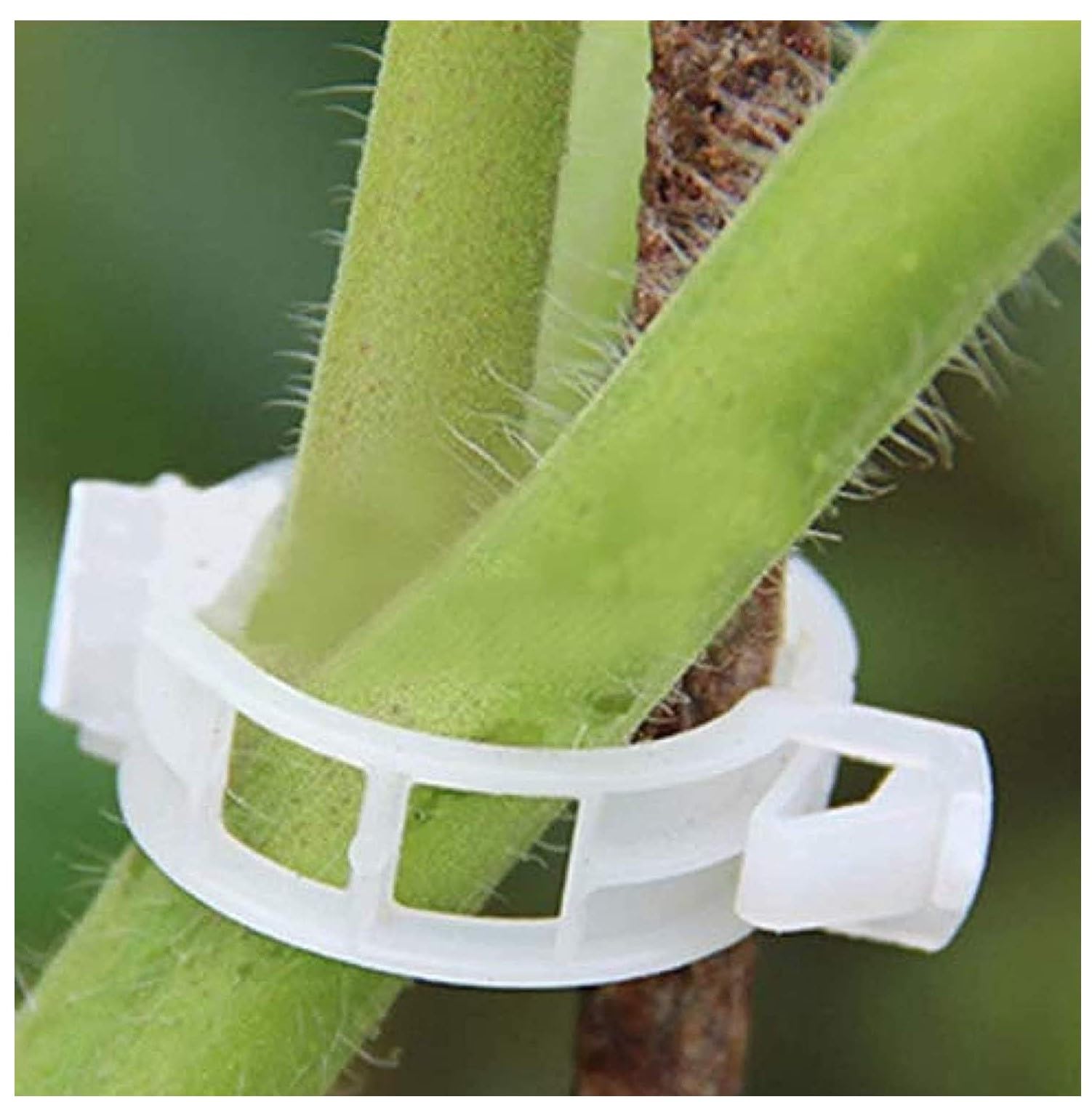 Botany-Spot Plant Support Clips, Garden Support Clips, Garden Clips ...
