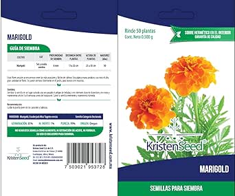 Semilla de Flor Cempasúchil Marigold Pack con 10 Piezas Kristen Seed ...