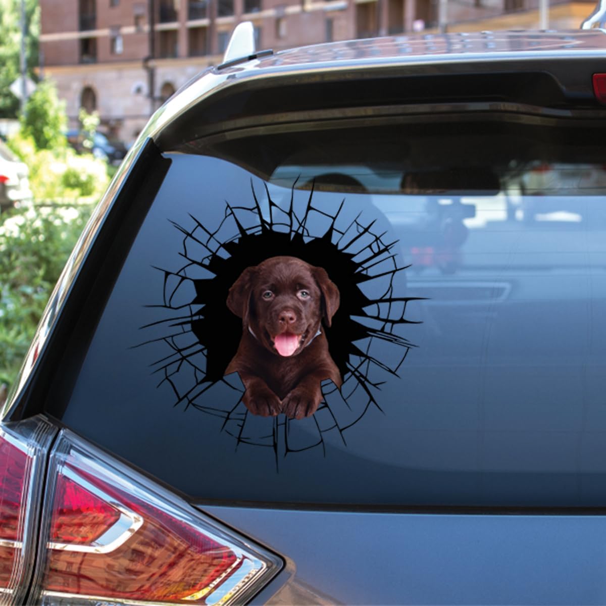 Amazon.com - Chocolate Labrador Dog Crack Window Sticker, Get in It's ...