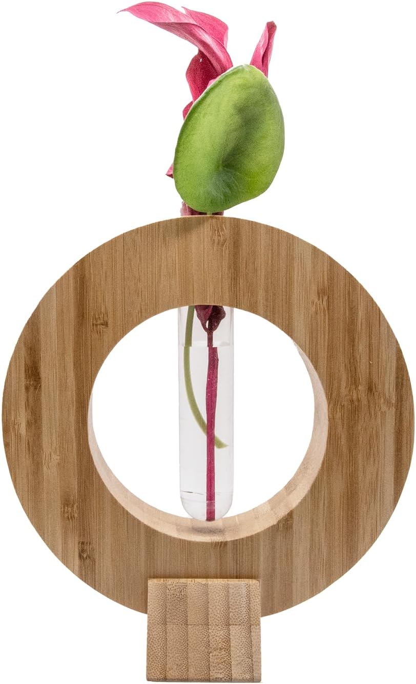Amazon.com : Propagation Station Flower Vase | Wooden Bamboo Stand With ...