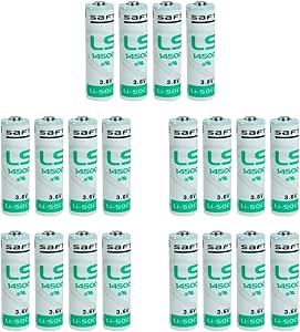 Amazon.com: (20 Pack) LS14500 Lithium-Thionyl Chloride 2600mAh Lithium ...