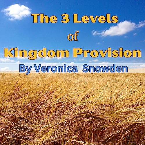 Amazon.com: The 3 Levels of Kingdom Provision (Audible Audio Edition ...
