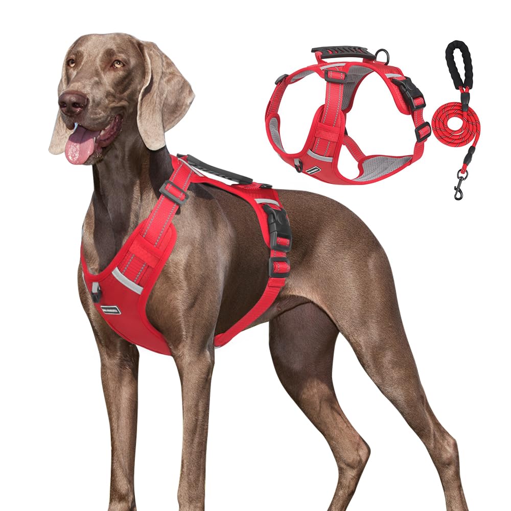 UNA MASCOTA Pechera Arnés De Seguridad para Perro Chico Mediano Y Grande con Correa 1.5m (Rojo ...