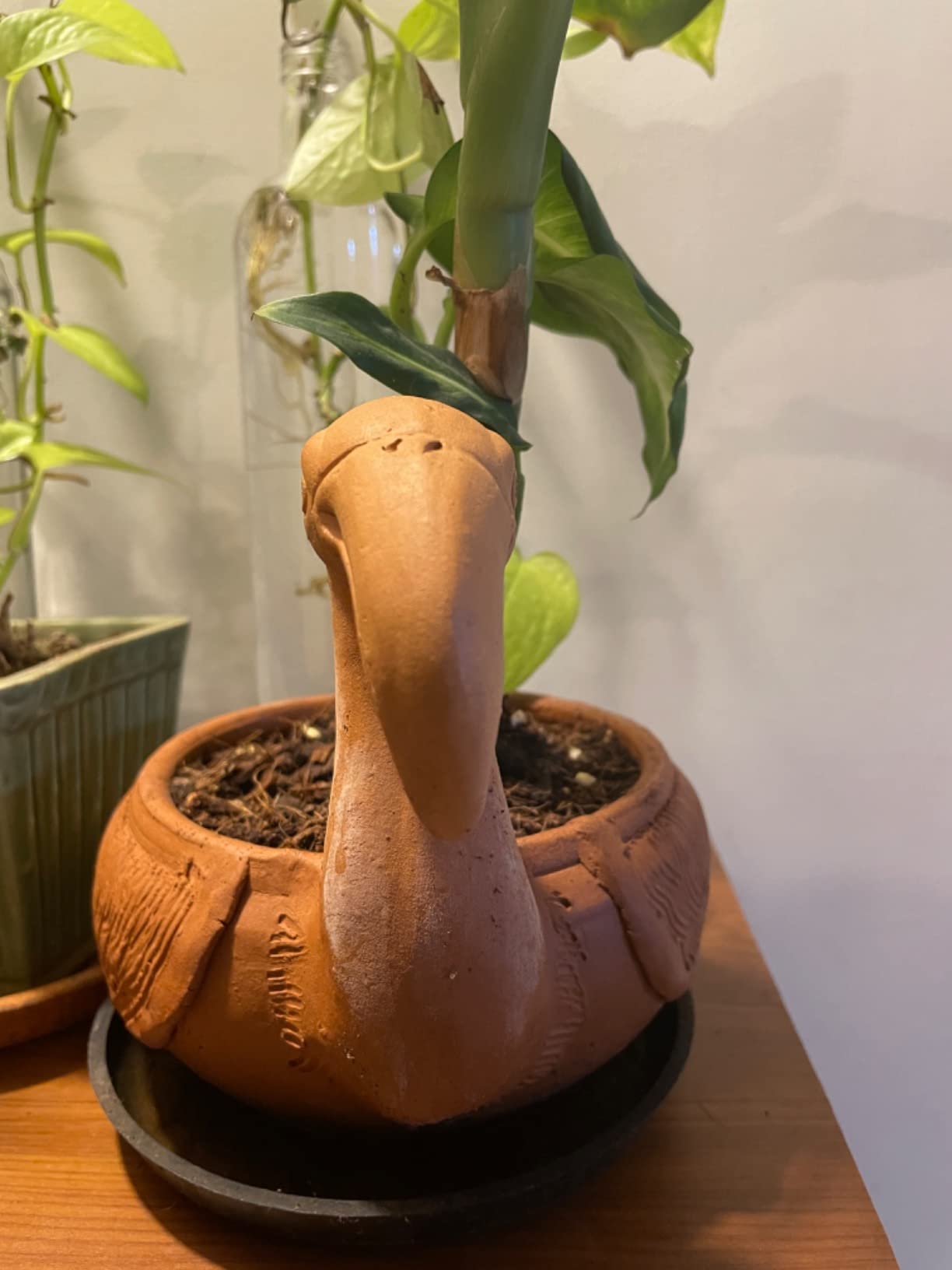Khavi Arts Premium Artisanal Terracotta Clay Duck Pot / Planter for ...