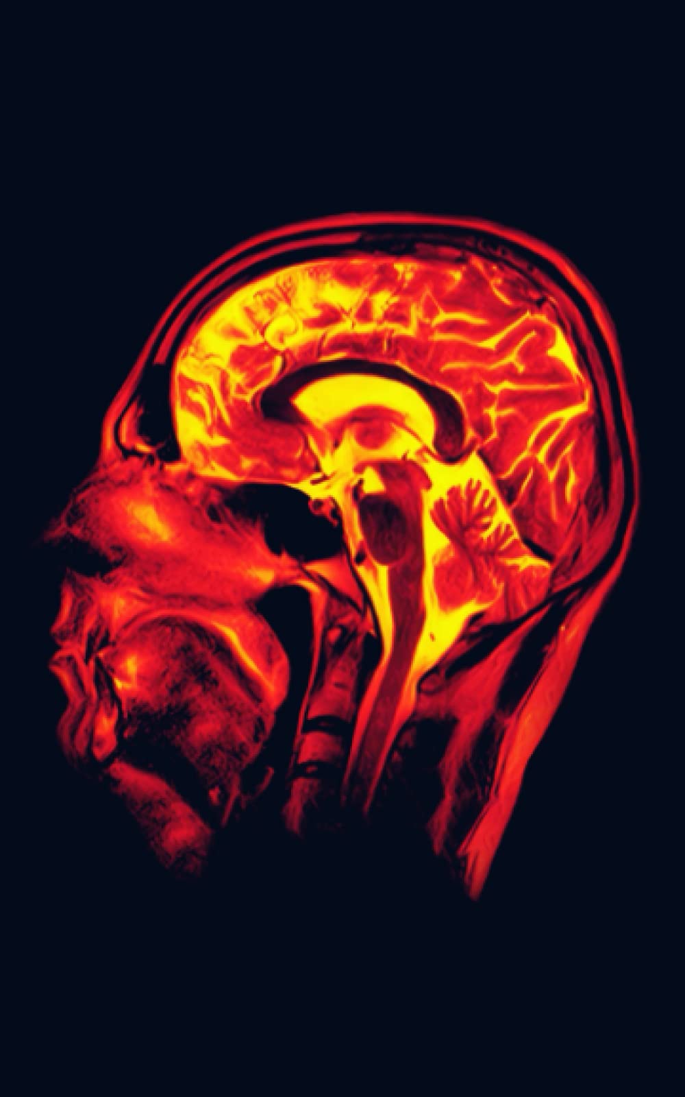 NEUROPLASTICITY: CHANGE THE WAY YOUR BRAIN WORKS THROUGH NEUROSCIENCE ...