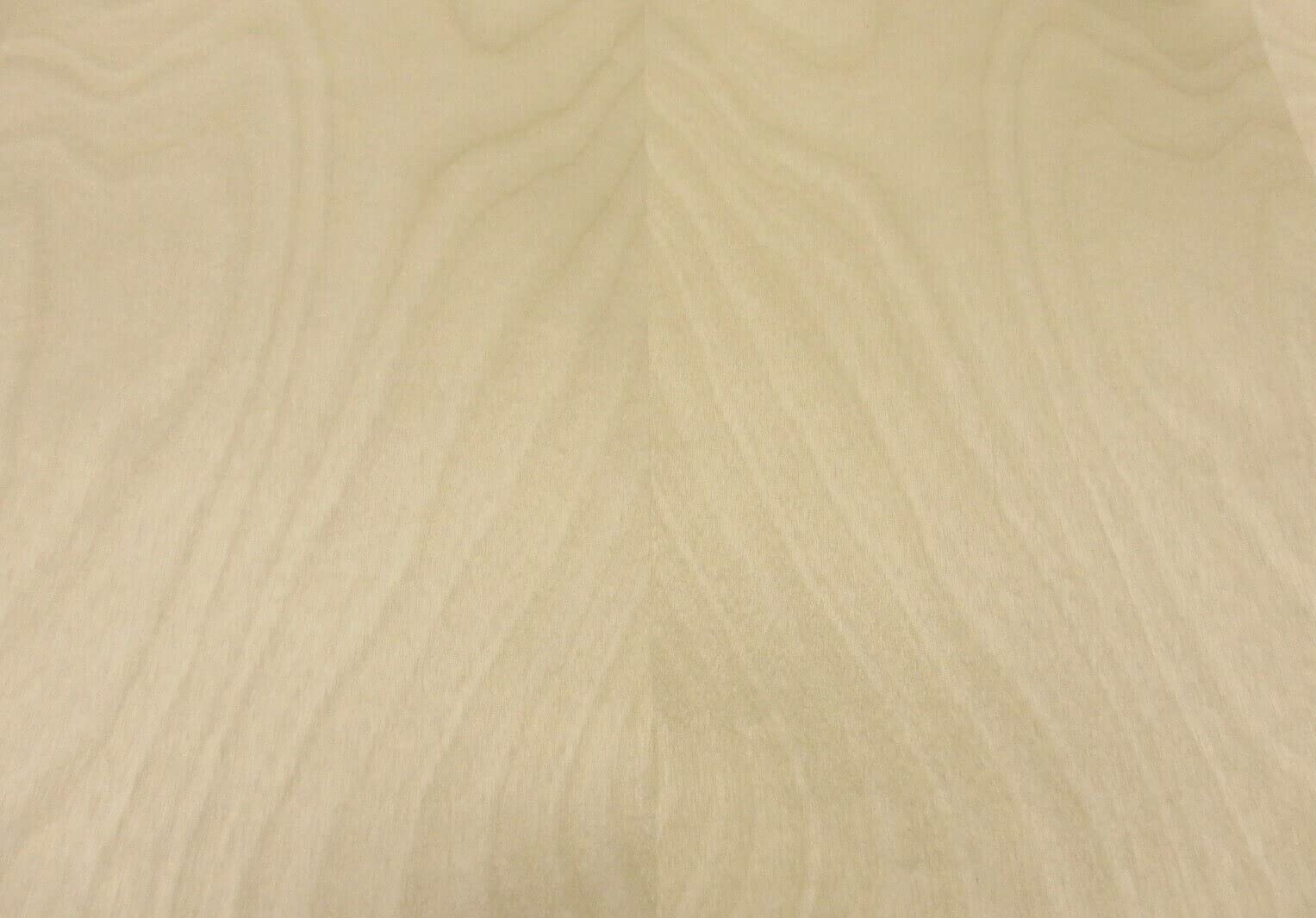 White Birch Wood Grain