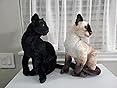 Amazon.com: TigerHart Boone The Black Cat - 13 Inch Stuffed Animal ...