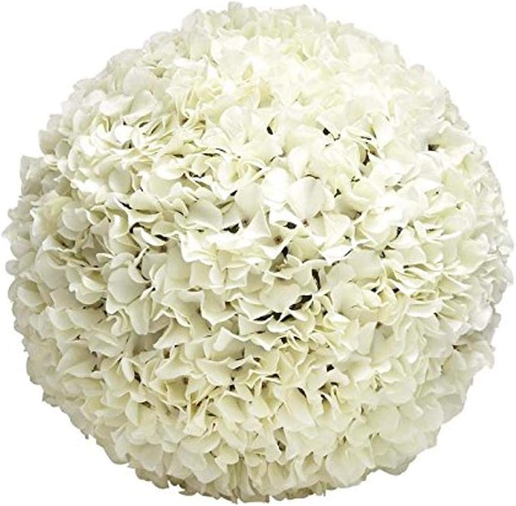 Deco 79 Plastic Hydrangea Ball, 14-Inch : Amazon.ca: Home
