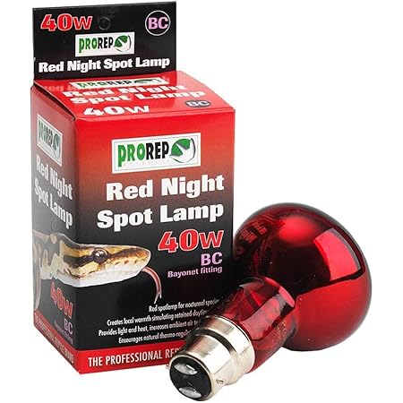 ProRep BC Basking Spotlamp, 40 Watt + Free Delivery
