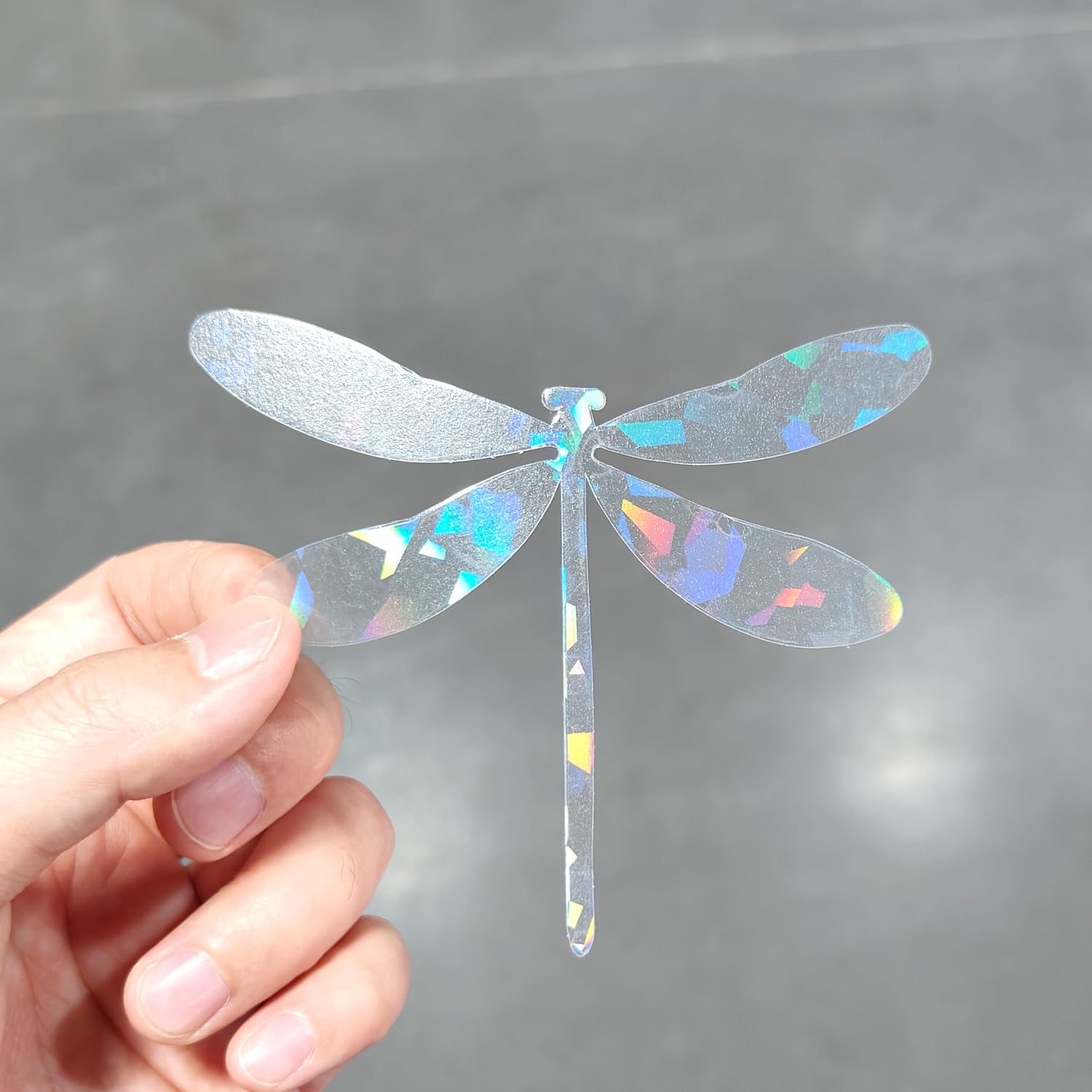 Amazon.com: Holographic Window Decals for Bird Strikes - Glass Reminder ...