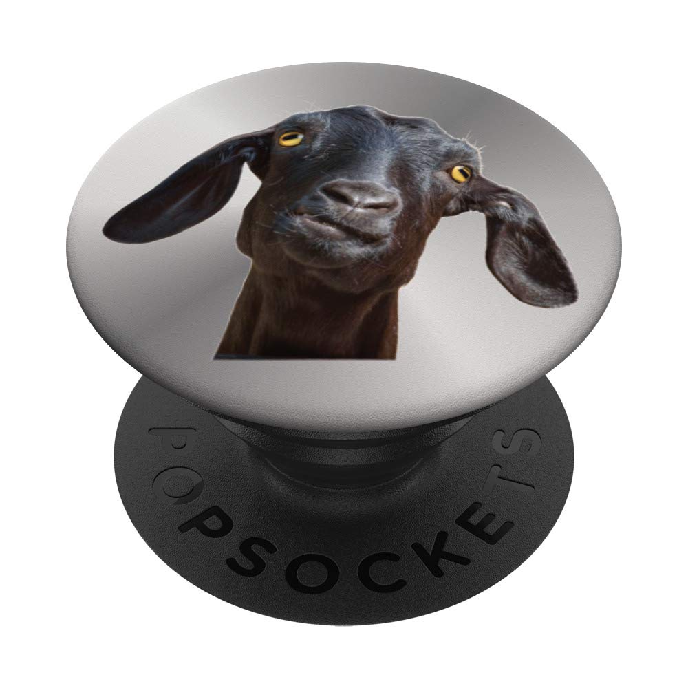 Funny Goat Face