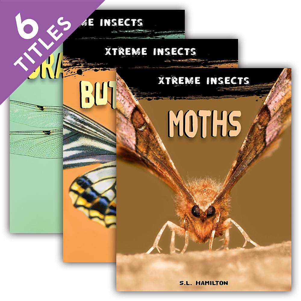 Xtreme Insects Set: Butterflies / Crickets / Dragonflies / Grasshoppers ...