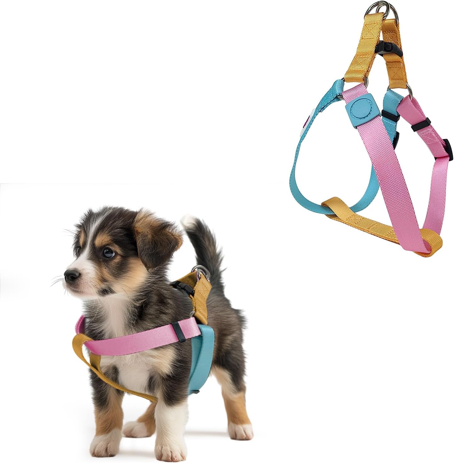 Amazon.com : Roses&Poetry Small Dog Harness and Leash Set, No Pull Dog ...