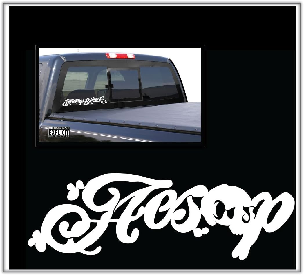 Amazon.com: Aesop Rock Large Car Truck Boat Decal Skin Sticker : Automotive