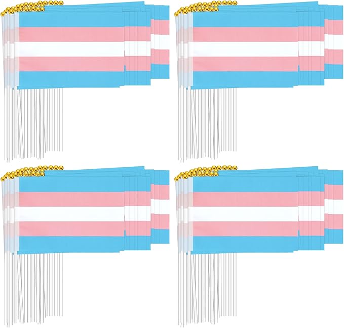 Amazon.com : Mixweer 200 Pcs Mini Transgender Flag Bulk Trans Pride ...