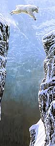 Amazon.com: Faith Patrick Lundquist 13x35.5 inch Lithograph Art Print ...