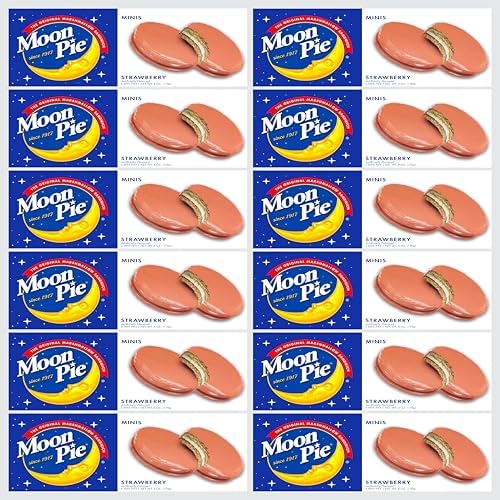 Amazon.com: Mini Moon Pies – 72 Count (12 Boxes, 6 Each) Individually ...