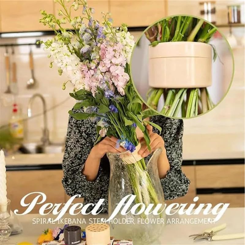 Snapklik.com : Spiral Ikebana Stem Holder, 2024 New Spiral Stem Holder ...