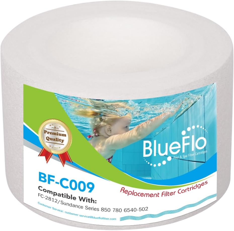Amazon.com: Bonbo 6540-503 Spas Adapter for Sundance Microclean Filter ...