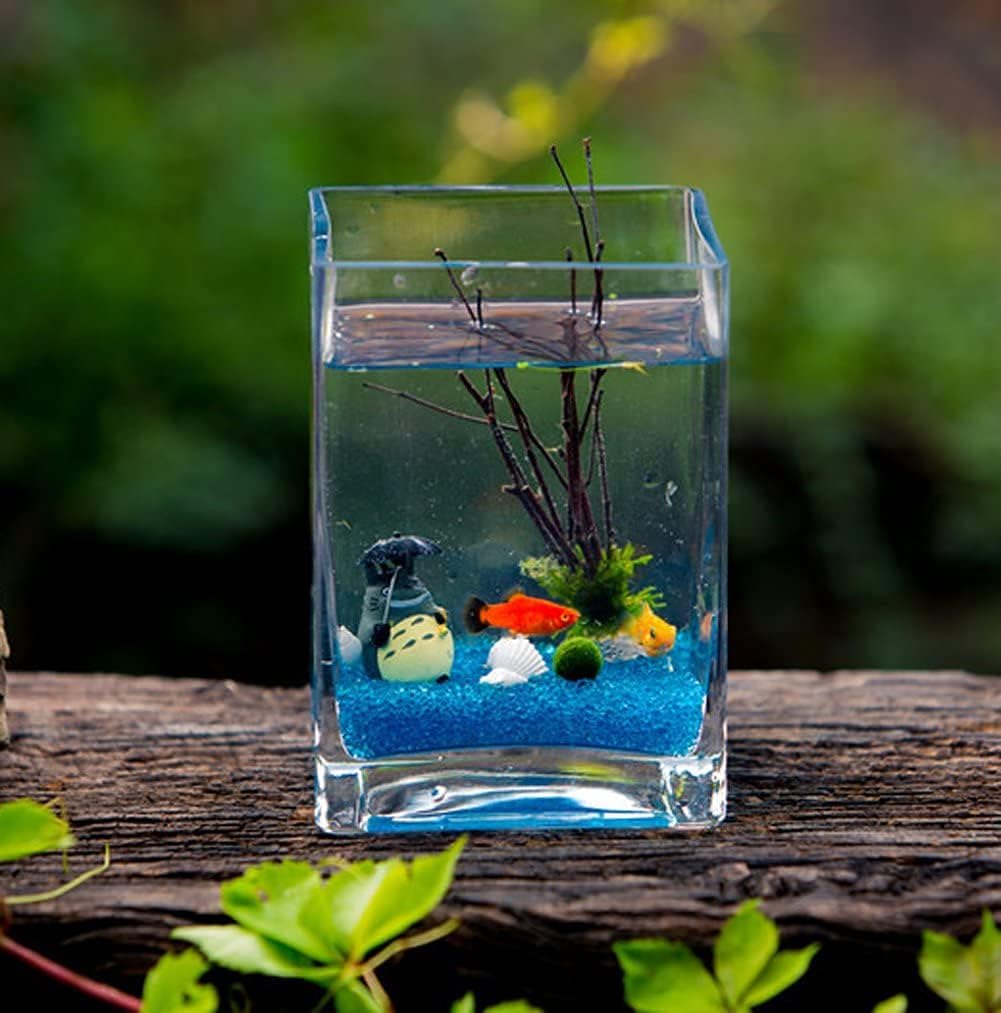 Mini fish tank, square glass fish tank, creative fish tank, office ...