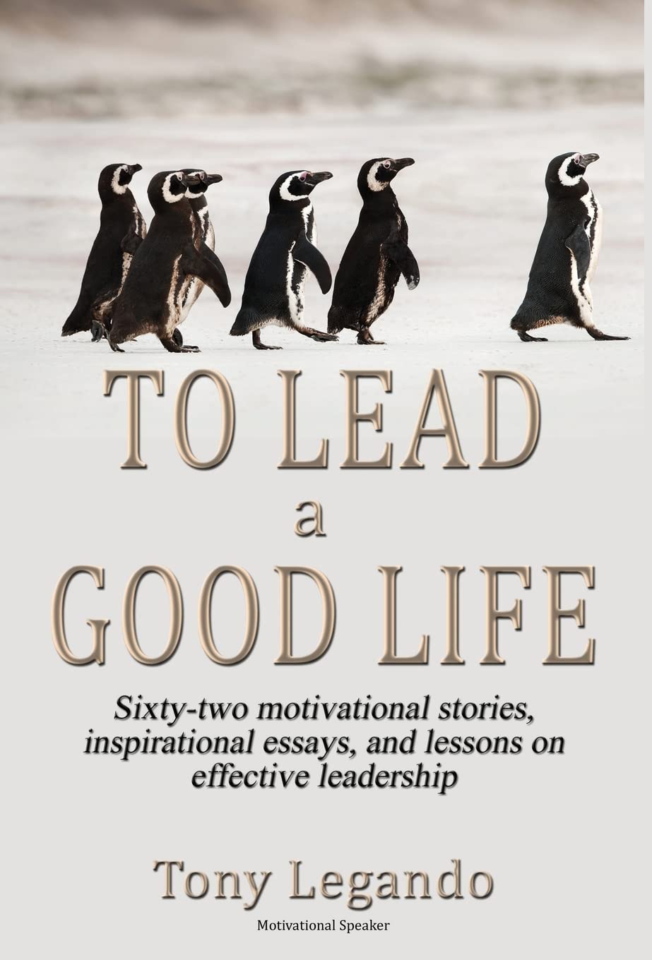 Amazon.com: To Lead A Good Life... A Wealth of Inspiration, Motivation ...