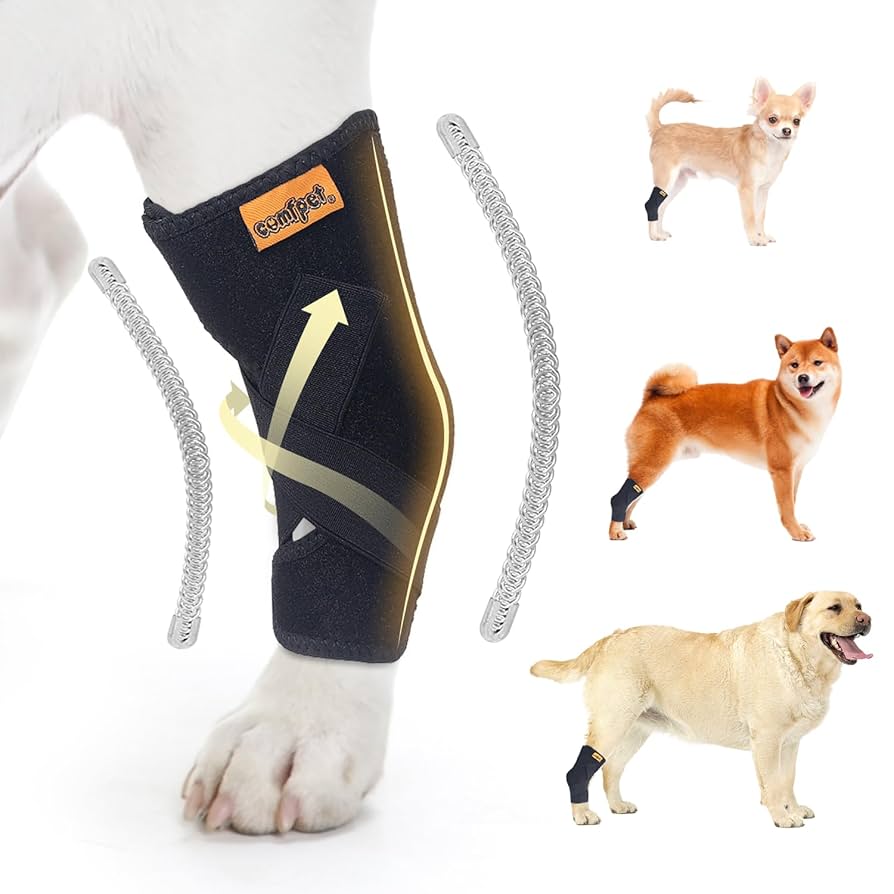 Dog Hind Leg Support