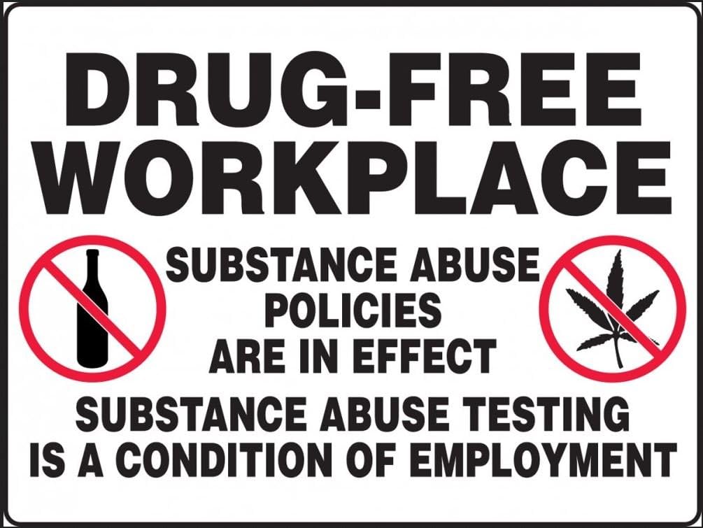 Amazon.com: Drug-Free Workplace Sticker : Automotive