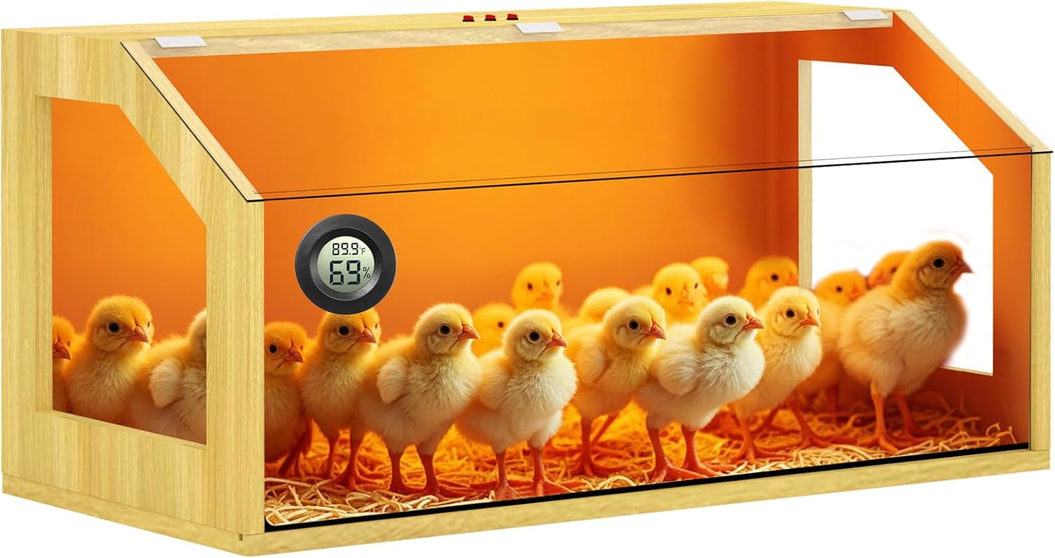 Amazon.com: Chick Brooder Box 48", Up to 55 Chicks, Extra Large Chicken ...