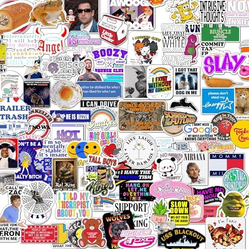 Amazon.com: 105pcs Funny Stickers for Adults, Prank Meme (Dirty) Large ...