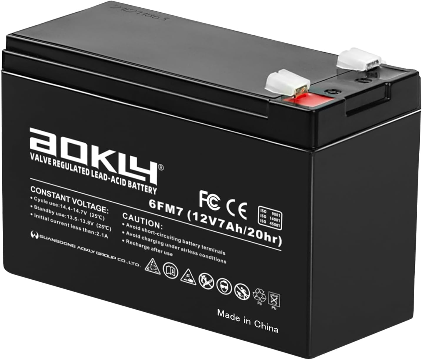 Amazon.com: Casil 12V 12Ah F2 Terminal Sealed Lead Acid AGM ...