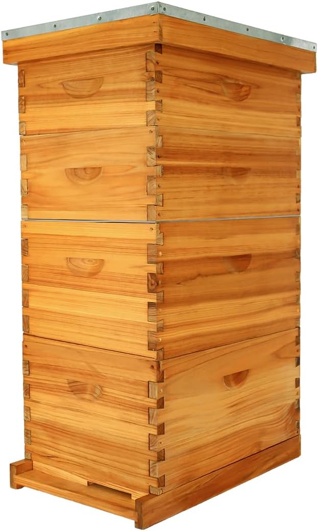 Amazon.com : ThxBees 8-Frame Bee Hive Complete Beehive Kit Beeswax ...
