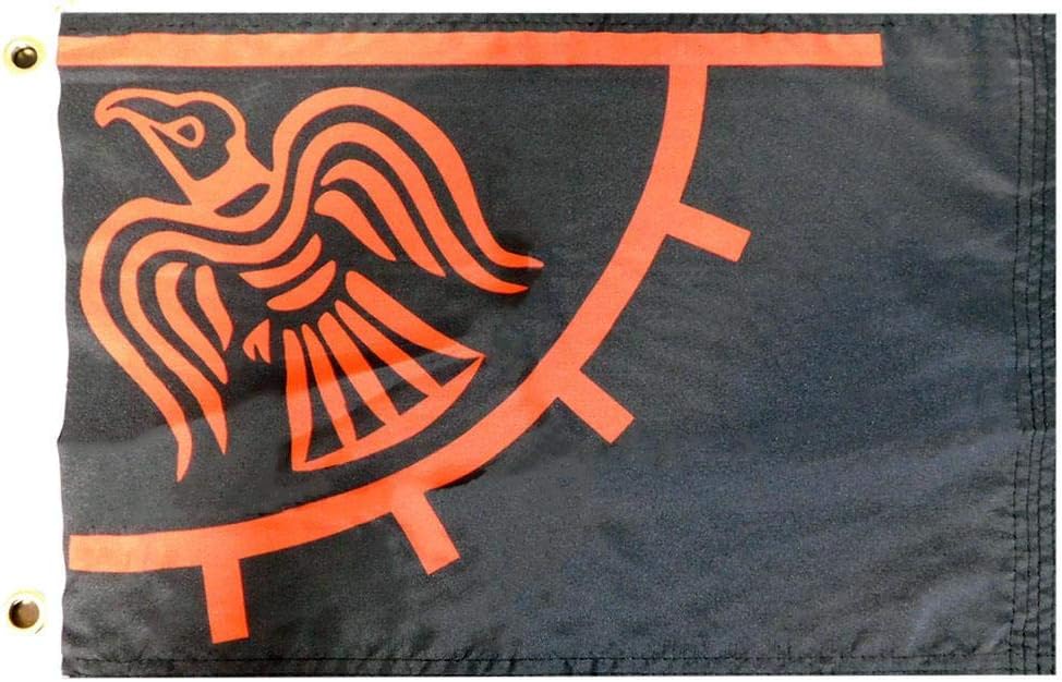 Amazon.com : Raven - 3x5' Nylon Historic Flag : Patio, Lawn & Garden