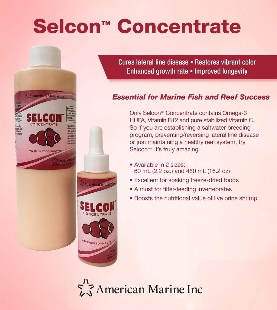 Amazon.com: American Marine Selcon 240 ML (8 OZ Volume) for Marine Fish ...