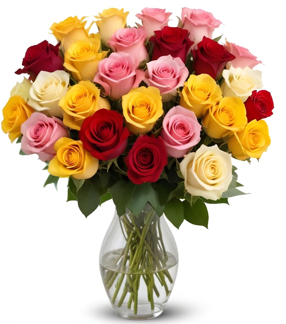 7 Best 25 Roses Bouquet | 25 Roses Bouquet: Freshness That Lasts