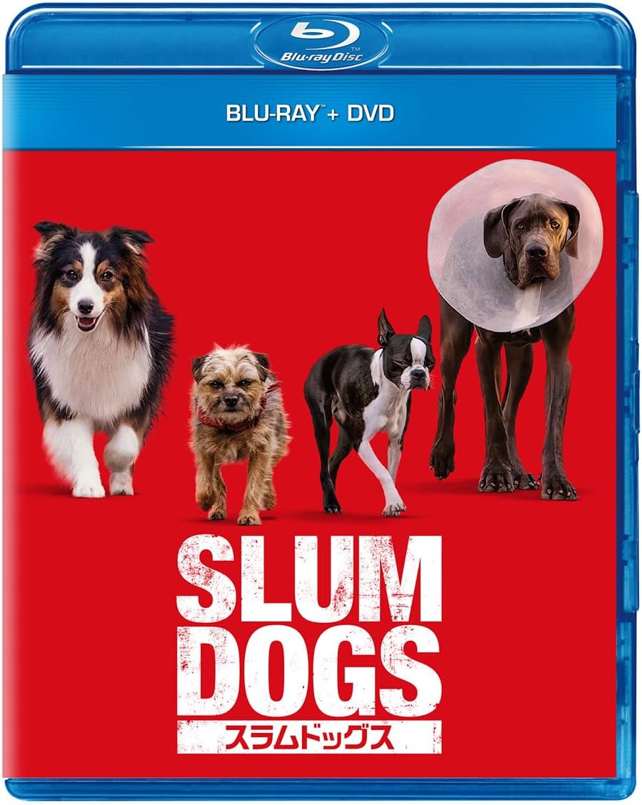 Slam Dogs Blu-ray + DVD (Blu-ray): Amazon.ca: Movies & TV Shows