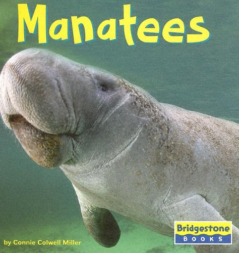 Manatees (World of Mammals): Miller, Connie Colwell: 9780736843119 ...