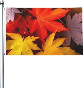 Amazon.com : Flag 3X5 Ft Autumn Leaves Maple Flag House Flag Funny ...