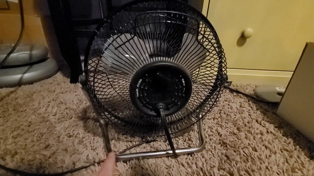 Watch Massey Fan Review on Amazon Live