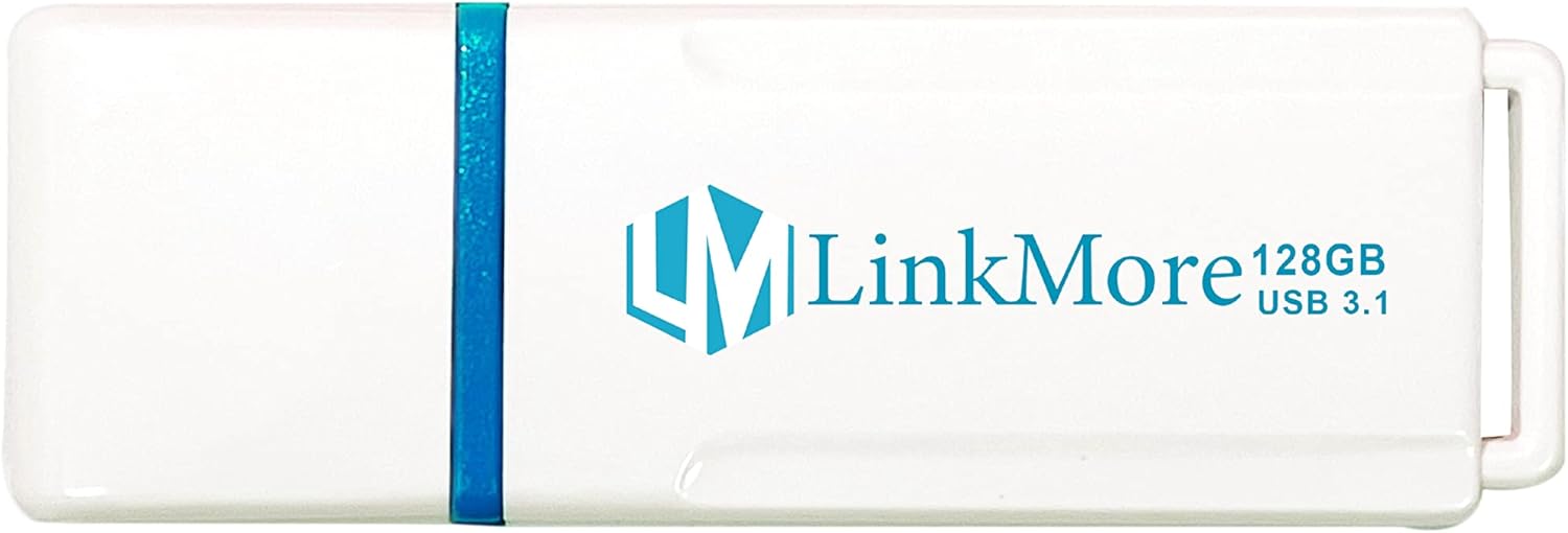 LinkMore NR34 128GB USB 3.1 Flash Drive, Read Speed up to 120MB/s ...