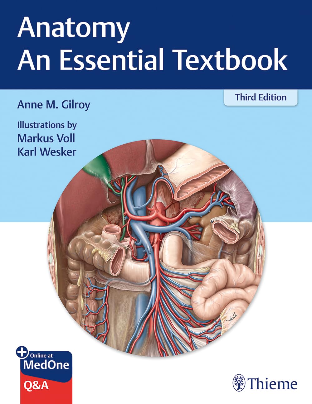 Amazon.com: Anatomy - An Essential Textbook (Thieme Illustrated Reviews ...