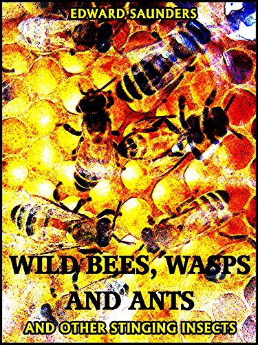 Amazon | Wild Bees, Wasps and Ants and Other Stinging Insects ...
