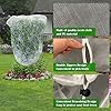 Amazon.com : Fruit Tree Netting Covers with Zipper to Protect from Squirrels and Birds Large ...