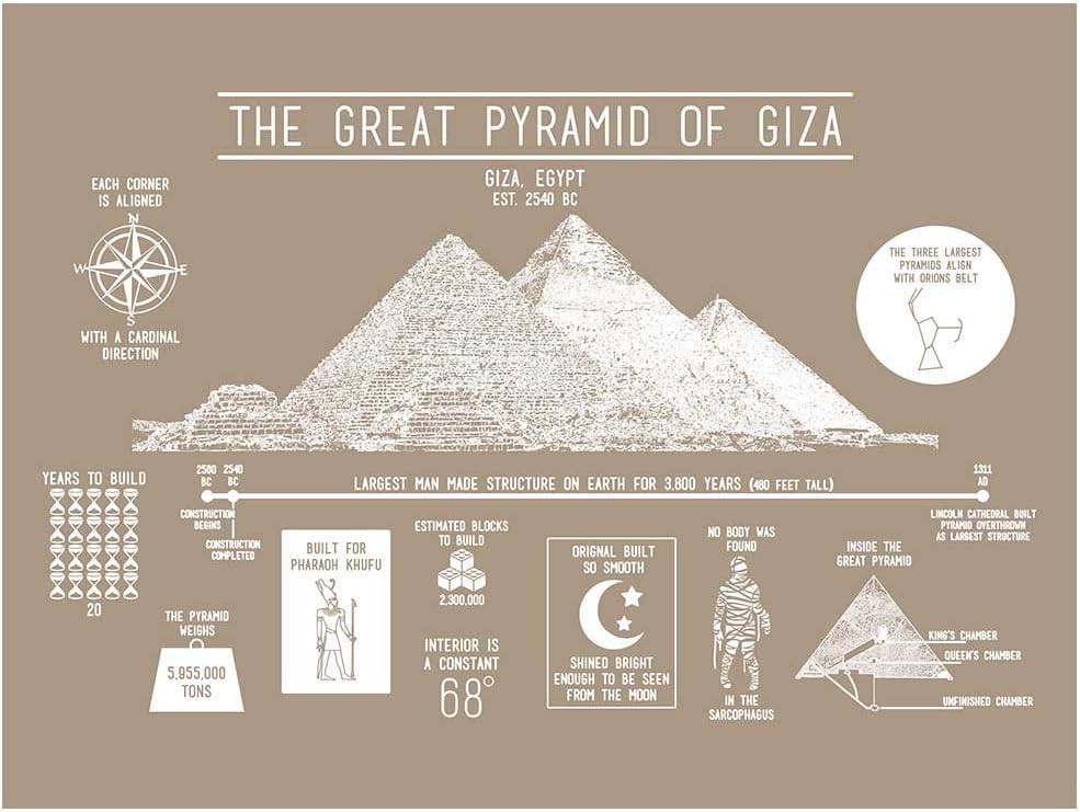 Amazon.com: Inked and Screened SP_Arch KR_24_W Architecture ...