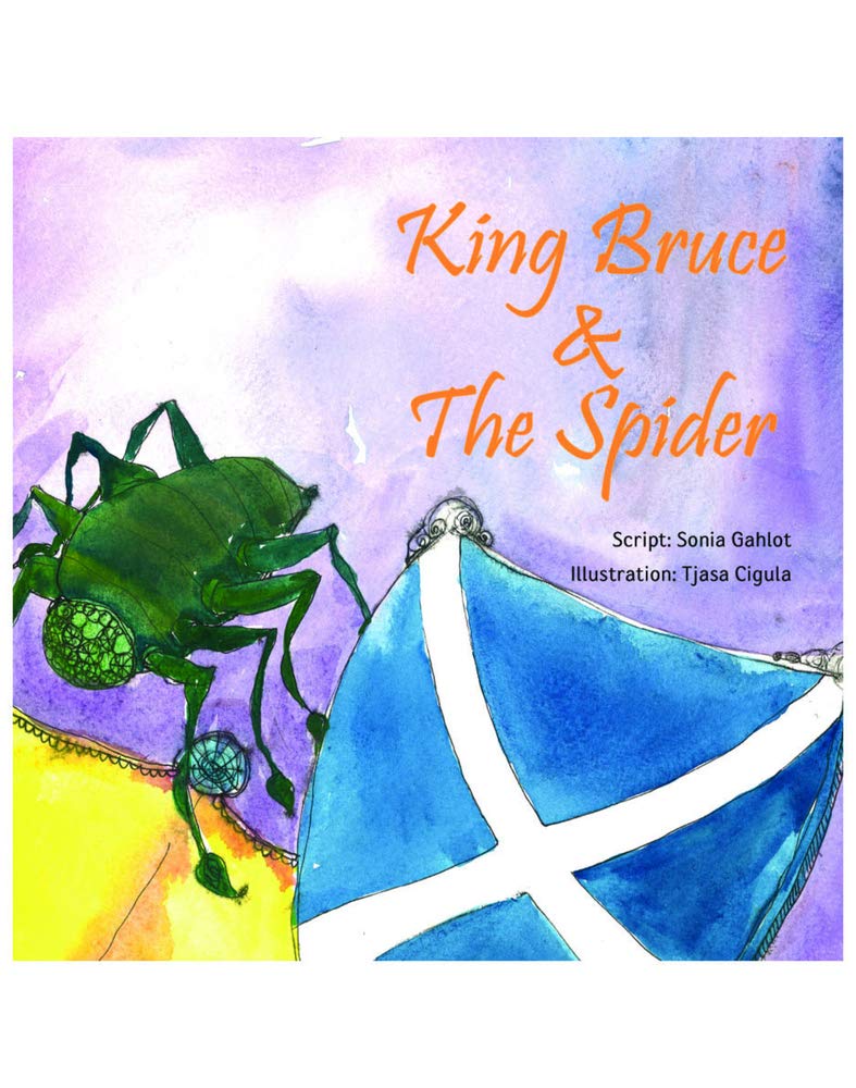 King Bruce and The Spider: Story Book: Amazon.co.uk: Gautam Mehta ...