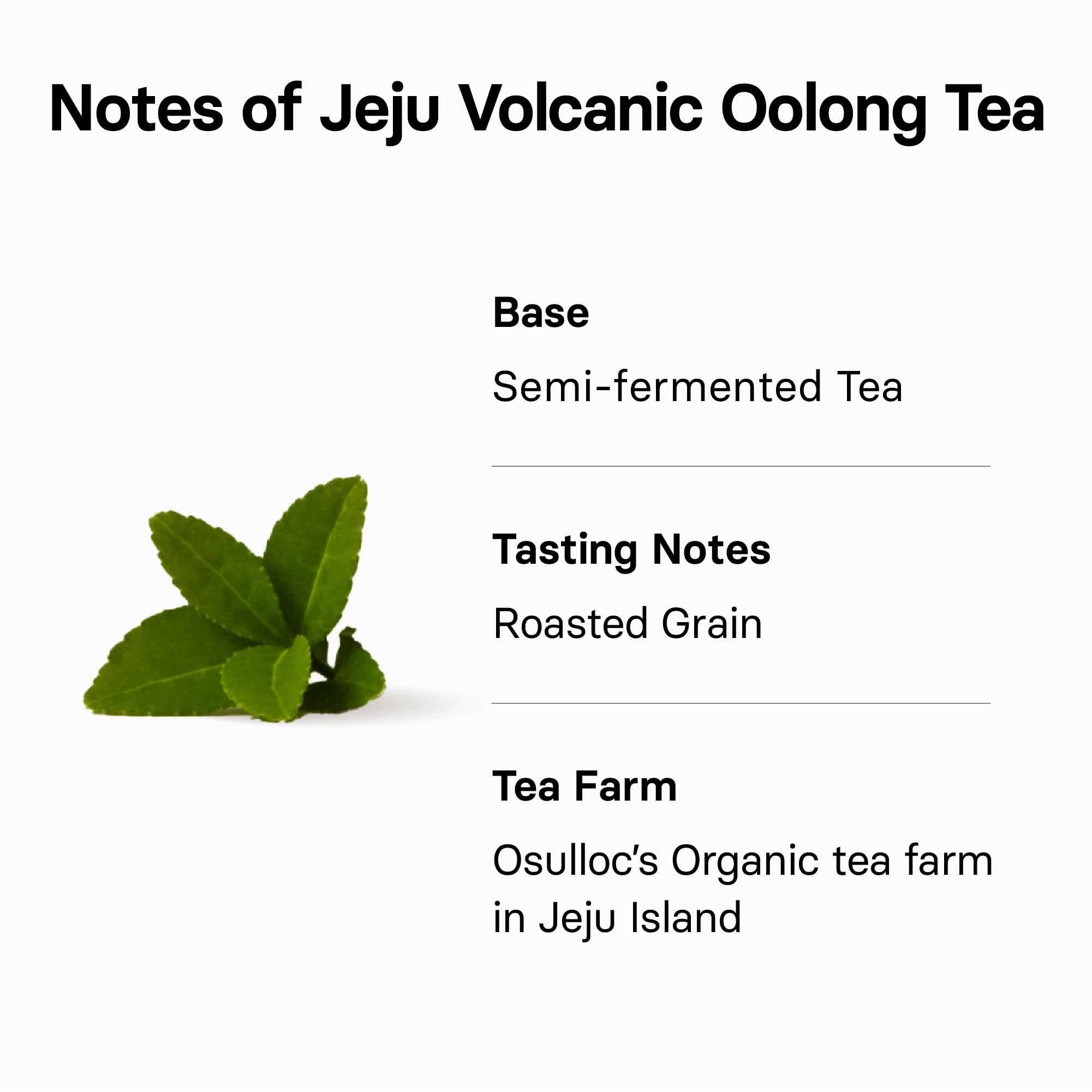 Snapklik.com : OSULLOC Jeju Volcanic Oolong Tea